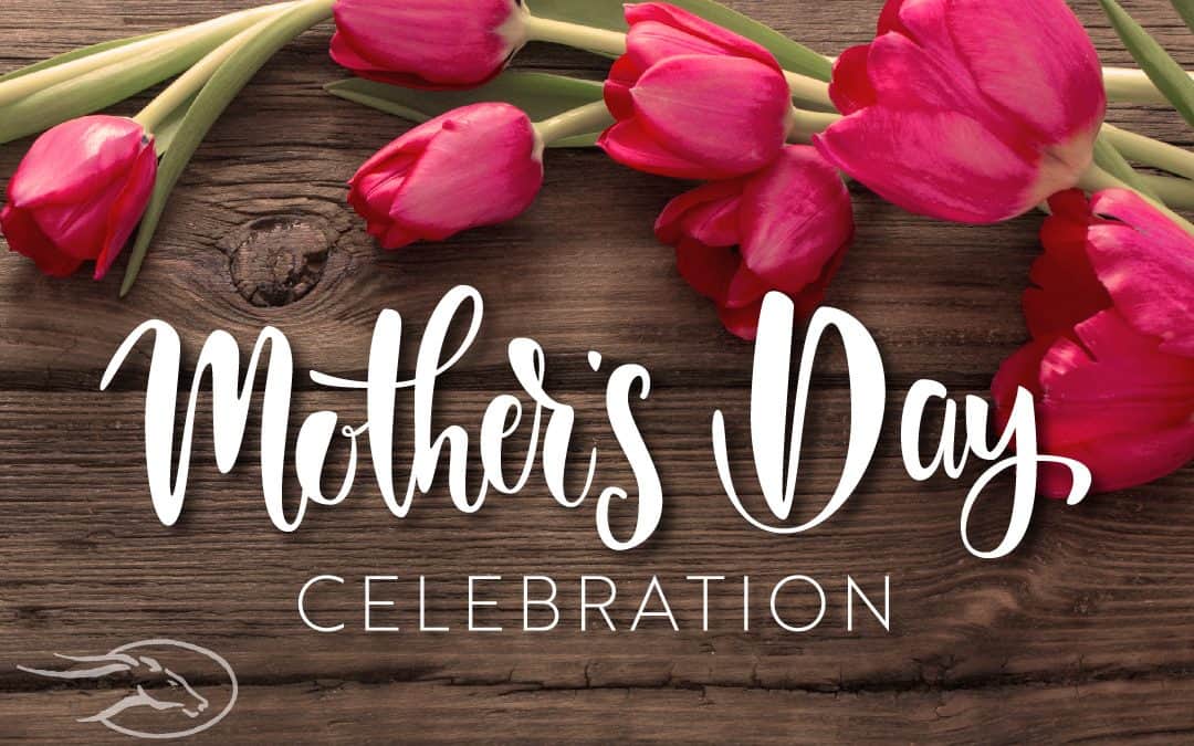 TheTicketWorld: Celebrate life with a wide array of world-class events ...